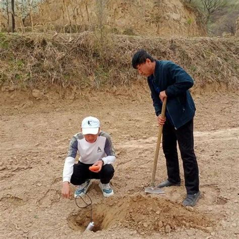【农情快讯】延长县农技中心开展土壤墒情监测指导cm全县