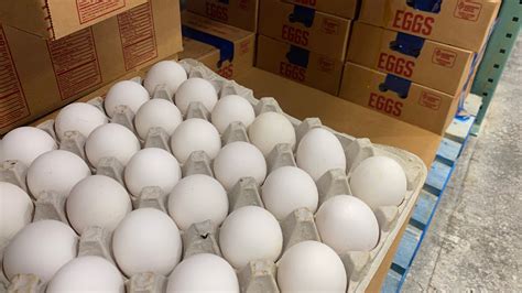 Fda Raises Recall Alert To Highest Level On Costco Eggs Over Salmonella