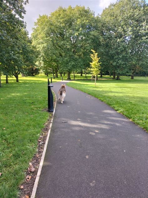 Barcud Shared Services Limited Posted On Linkedin