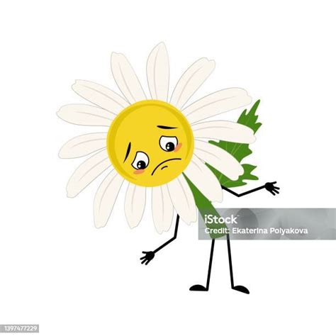 슬픈 감정 우울한 얼굴 눈 팔 및 다리가있는 카모마일 캐릭터 우울한 표정 데이지 꽃을 가진 사람 벡터 플랫 일러스트 레이 션 가공의 인물에 대한 스톡 벡터 아트 및 기타