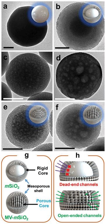 TEM images of a) Stöber SiO2, b) mSiO2 with 1D channels (prepared as a... | Download Scientific ...