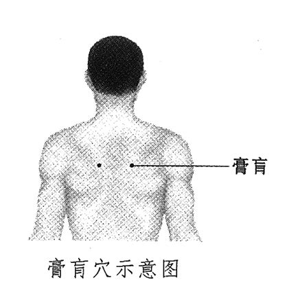 膏肓俞的准确位置图 膏肓 膏芒的准确位置图片 大山谷图库