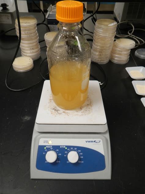 Fungicide Resistance Protocol — Research — Department Of Plant Science