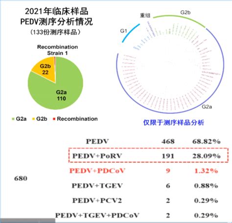 猪流行性腹泻的危害和流行现状仔猪母猪发病