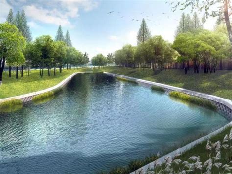 好消息！上海示范区线沿线水系2023年中小河道整治工程正式开工澎湃号·政务澎湃新闻 The Paper