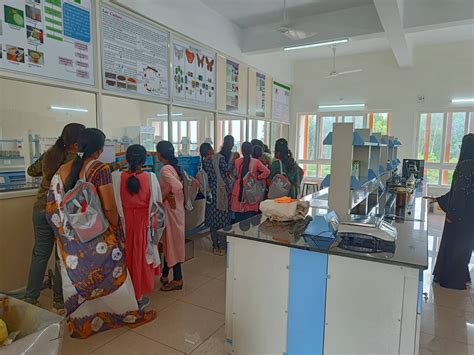 Apiculture Training Program Cornell Sathguru Foundation For Development