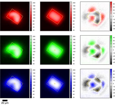 On Chip Crystallization And Large Scale Serial Diffraction At Room Temperature