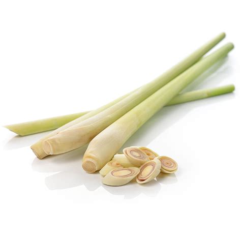 Lemongrass Wallpapers 29 Images Inside