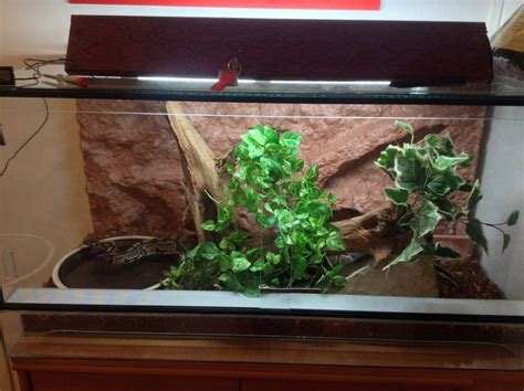 arduino controlled terrarium 3 steps instructables
