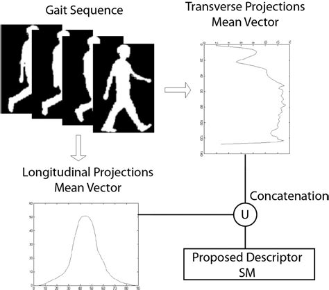 Figure 4 From Gait Based Human Age Classification Using A Silhouette Model Semantic Scholar