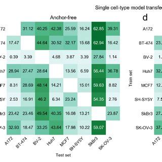 Performance Evaluation Of CNN Models Trained On LIVECell Download Scientific Diagram