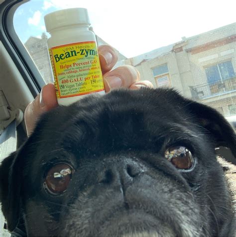 Bean Zyme From Vpm Health Vegan Product Reviews And Ratings Abillion