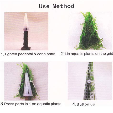 Java Moss Tree