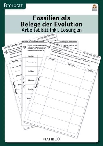 Fossilien Als Belege Der Evolution Arbeitsblatt Inkl Lösungen