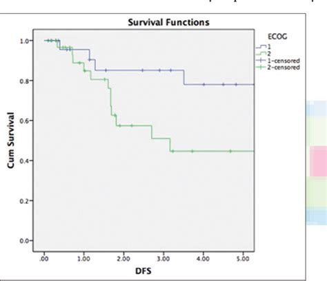 Ecog Performance Status 1 Semantic Scholar
