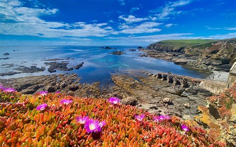 Exploring Cornwalls Hidden Gem The Lizard Peninsula British Travel