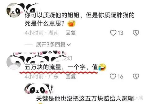 人民日报点评！胖猫事件大反转：谭竹被冤枉，胖猫姐姐账号被封禁 知乎