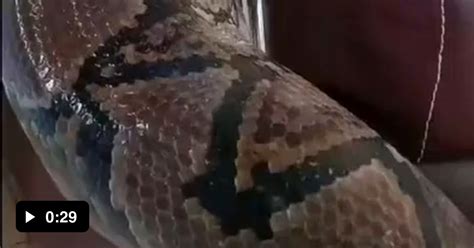 Babe Plays Game Lying On A Python 9GAG