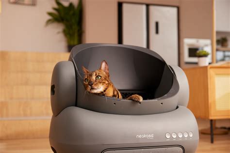 センサー搭載の猫用全自動トイレ 後始末の手間を軽減：気になるプロダクト Forbes Japan 公式サイト（フォーブス ジャパン）