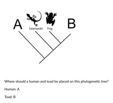 Lecture 1 Macroevolution Structure Of Evolutionary Theory Darwinism
