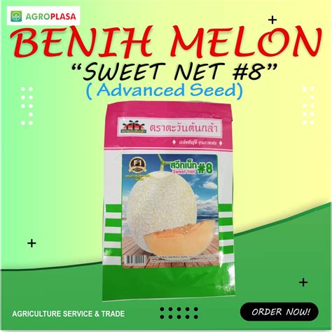 Jual Benih Melon Sweet Net8 Advance Seed 10gr Shopee Indonesia