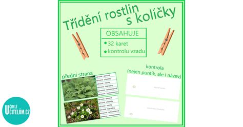 Třídění Rostlin S Kolíčky Přírodověda Učiteléučitelůmcz