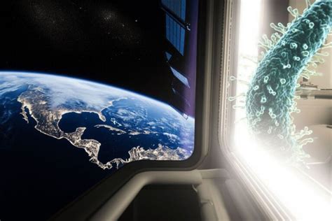 Environmental Degradation What Is Causes Consequences And Examples Evidence Network