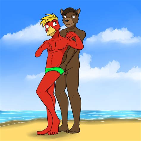 Rule 34 1 1 Anthro Avian Balls Beach Bird Circumcised Clothed