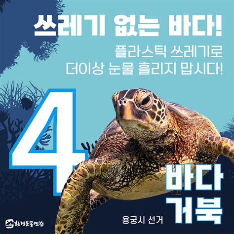 환경운동연합 용궁시 선거에 해양생물들이 공약을 들고 나왔어요 기호 4번 바다거북의 플라스틱 쓰레기