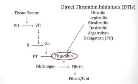 Direct Thrombin Inhibitors Bivalirudin Dabigatran Argatroban Flashcards Quizlet