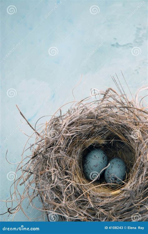 Eggs In A Nest Stock Image Image Of Artistic Investment 4108243