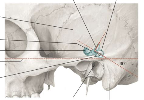 Planes Of The Inner Ear Structures Relating To The Semicircular Canals