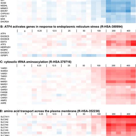 Concentration Dependent Modulation Of Genes Belonging To A Selection Of Download Scientific