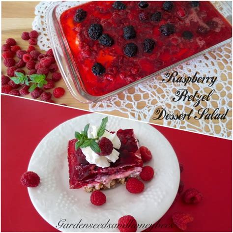 Raspberry Pretzel Dessert Salad Garden Seeds And Honey Bees