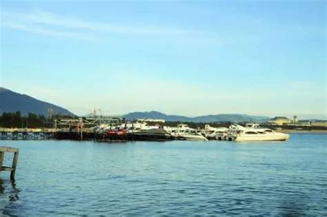 为什么东北人喜欢到海南三亚过冬？ 搜狐大视野 搜狐新闻