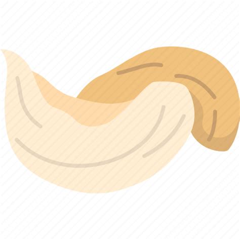 Bird Nest Edible Swiftlet Healthy Icon Download On Iconfinder