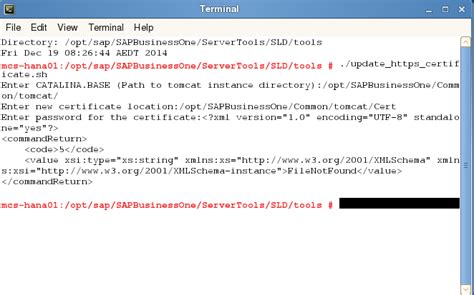 Solved Sap Hana 91 Pl 3 Certificate Issues Sap Community