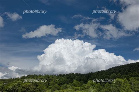 Photolibrary
