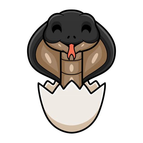 80 Python Egg Stock Illustrations Royalty Free Vector Graphics And Clip