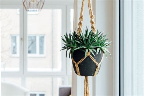 18 ocean inspired macrame projects for beginners macrame for beginners