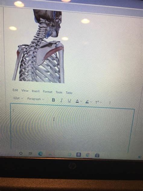 solved edit view insert format tools table 12pt paragraph в