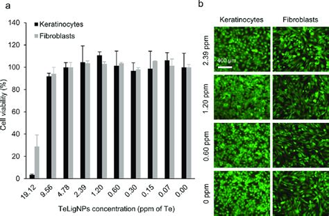 A Cell Viability Of Human Keratinocytes And Fibroblasts Treated