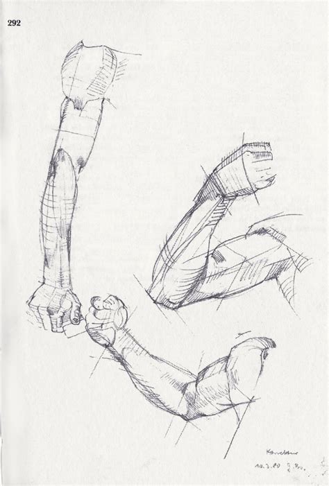 Anatomy - Bammes - Sehen und Verstehen | Human anatomy art, Human ...
