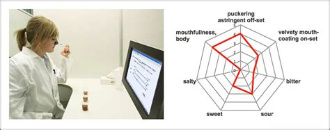 Sensory Analyses Lebensmittelchemie Und Molekulare Sensorik