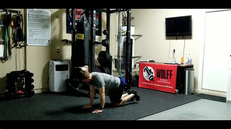 Quadruped Fire Hydrants Youtube