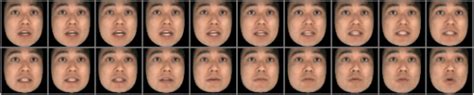 A Multimodal Dynamical Variational Autoencoder For Audiovisual Speech