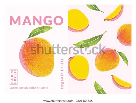 Mango Package Design Over 3206 Royalty Free Licensable Stock