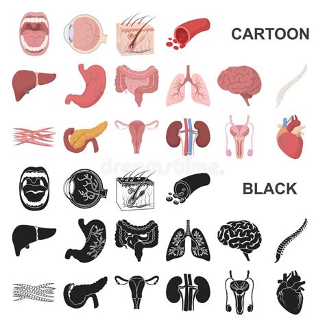 Internal Organs Of A Human Cartoon Icons In Set Collection For Design