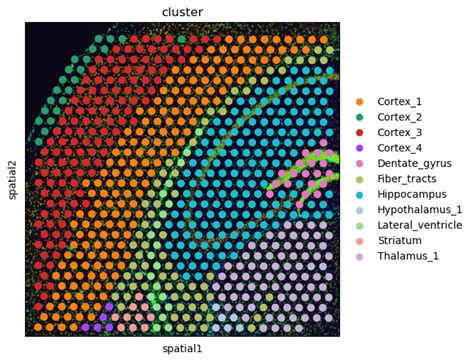 Analyze Visium Fluorescence Data Squidpy Documentation