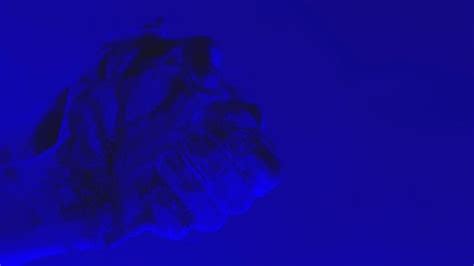 UVC Disinfection Technology Why An Industry Standard Must Be Set